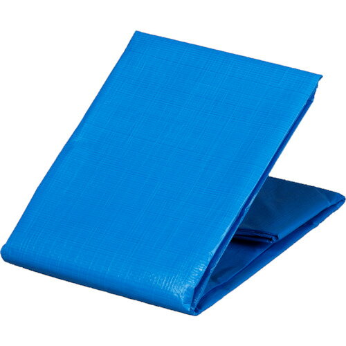 特長●防炎用品（2次被害対策用品）として使用できるブルーシートです。●燃えにくい、燃え広がりにくい自己消火性ブルーシートです。用途●建築・建設などの壁面養生や橋梁工事などの床面養生、または資材のカバーや火災対策用の野積みカバーなどに。●レジ...