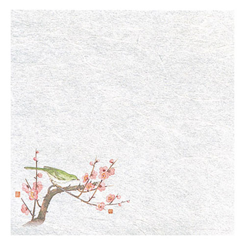 【商品説明】敷紙のほか、掛け紙としても最適な、薄口雲竜和紙です。☆薄口のため透過性がよく、掛紙として、やわらかな雰囲気を演出することができます。☆吸水性に優れていますので、霧吹き等で湿らせて乾燥防止にもご使用いただけます。【仕様】サイズ:約...