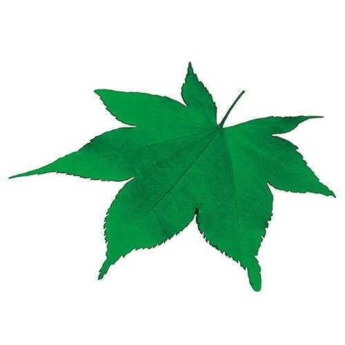 【商品説明】葉脈まで忠実にプリントした葉をカタチに沿って型抜きして使いやすくしました。PP貼り合せなので、食材を直接盛るなどの演出が可能です。春さきから夏までの季節感を演出できるグリーンカラーの葉っぱです。この葉は、さくらの葉をイメージ。料...