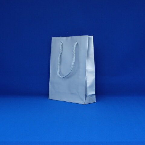 ●高級感のあるPP貼り。 ●雨にも強い丈夫な作り。 ●本体色(軸色)：ギン ●外寸：縦240×横185×マチ65mm ●材質：コート紙，持ち手＝ポリエステル ●入数:1枚 ●JANコード:4901755559071【送料について】北海道、沖...