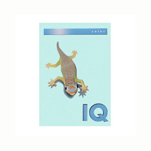 250枚入り。両面印刷対応の高品質中性紙。洗練されたヨーロピアンカラーの色調は強いインパクトと心に残る印象を与えます。特に招待状やチラシ作成等にお奨めです。マルチファンクションペーパー【送料について】北海道、沖縄、離島は送料を頂きます。