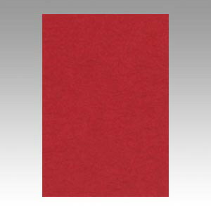 豊富な色数63色、色彩豊かで用途も広く使えます。●4切判 392*mm*×542*mm*●8切判 392*mm*×271*mm*●A3ノビ判 307*mm*×430*mm*（A3サイズよりやや大きめです）●紙厚122.1*g*／*m2*●約...