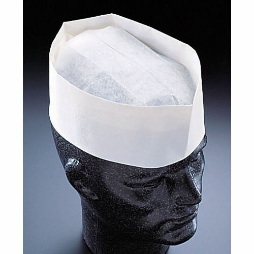 パル フォレージュハット 無地 A95000 （100枚入） SHT24 JANコード 5025254002216●メーカー品番:A95000●全高(mm):84●入数:100枚入■※上部がメッシュになっており、蒸れにくく、 快適に作業でき...