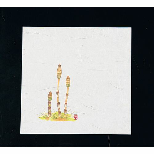 アーテック ニュー四季懐紙 5寸（100枚入） NS-5 つくし QKIH701 JANコード 4560164127563●幅×奥行(mm):150×150●材質：両面ポリラミ金銀■和紙の表面に特殊加工してありますので、絵柄の上に直接 食品...