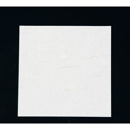 アーテック ニュー四季懐紙 5寸（100枚入） NS-65 無地 QKIJ701 JANコード 4560164127693●幅×奥行(mm):150×150●材質：両面ポリラミ金銀■和紙の表面に特殊加工してありますので、絵柄の 上に直接食品...