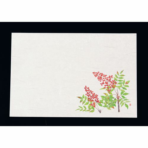 ヤマコー 尺3四季懐石まっと（50枚入） 南天 QKI14 JANコード 4988484643820●縦×横(mm):390×264●材質：和紙■尺3四季懐石まっと(50枚入)390×264■無蛍光雲竜和紙を使用しております。【送料について...