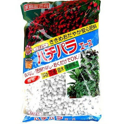 【商品説明】●水に溶けて効きますので、冬でも良く効く、しかも肥効はゆっくりじっくり効いてきます●パッケージサイズ(mm)：40×210×320●パッケージ重量(kg)：2※メーカーの都合によりパッケージ、内容等が変更される場合がございます。...