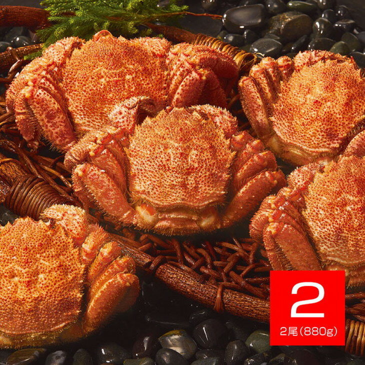 ■商品説明目利きが厳選した北海道産の毛ガニ。食べ応えたっぷりの北海道産毛ガニが登場！甲羅の中には「かにみそ」がたっぷり入った人気の品です。お酒を注いで甲羅酒で一献も。身の締まった肉厚で濃厚な旨味の北海道産毛ガニ。価格が高騰している希少な毛ガ...