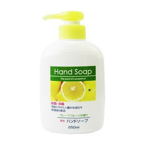【商品詳細】■ 殺菌成分配合で手肌を清潔にします■ さわやかなグレープフルーツの香り成分:成分:イソプロピルメチルフェノール水、アルキルカルボキシメチルヒドロキシエチルイミダゾリニウムベタイン、ヤシ油脂肪酸ジエタノールアミド、ラウリン酸、T...