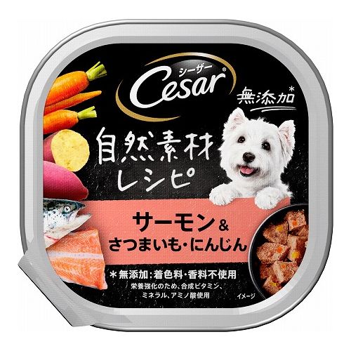 【取り寄せ品のご注意事項（ご注文前にご確認ください）】・本商品は原則注文後のキャンセルはお受けできません。・本商品と他商品で同梱注文をいただき、仮に他商品が完売等でご用意できない場合でも本商品は発送させていただきます。・本商品を複数（2点以...