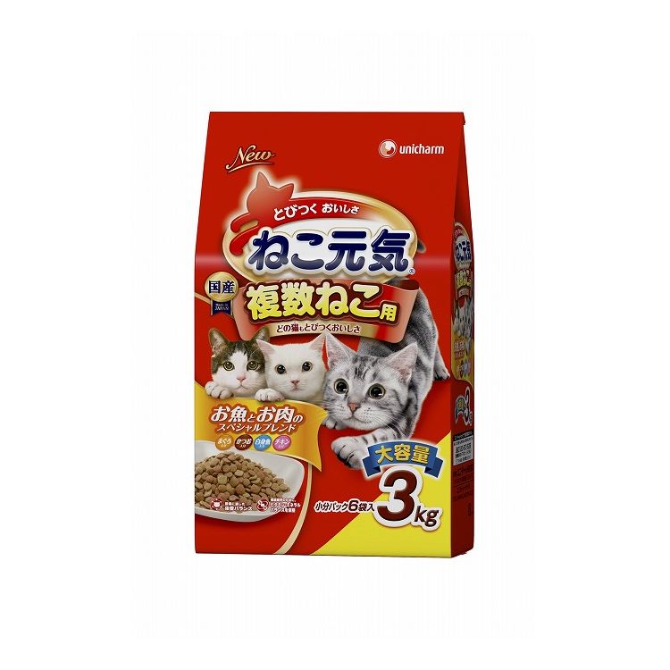 【取り寄せ品のご注意事項（ご注文前にご確認ください）】・本商品は原則注文後のキャンセルはお受けできません。・本商品と他商品で同梱注文をいただき、仮に他商品が完売等でご用意できない場合でも本商品は発送させていただきます。・本商品を複数（2点以...