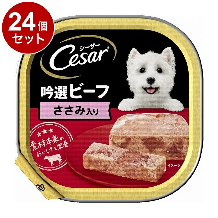 【取り寄せ品のご注意事項（ご注文前にご確認ください）】・本商品は原則注文後のキャンセルはお受けできません。・本商品と他商品で同梱注文をいただき、仮に他商品が完売等でご用意できない場合でも本商品は発送させていただきます。・本商品を複数（2点以...