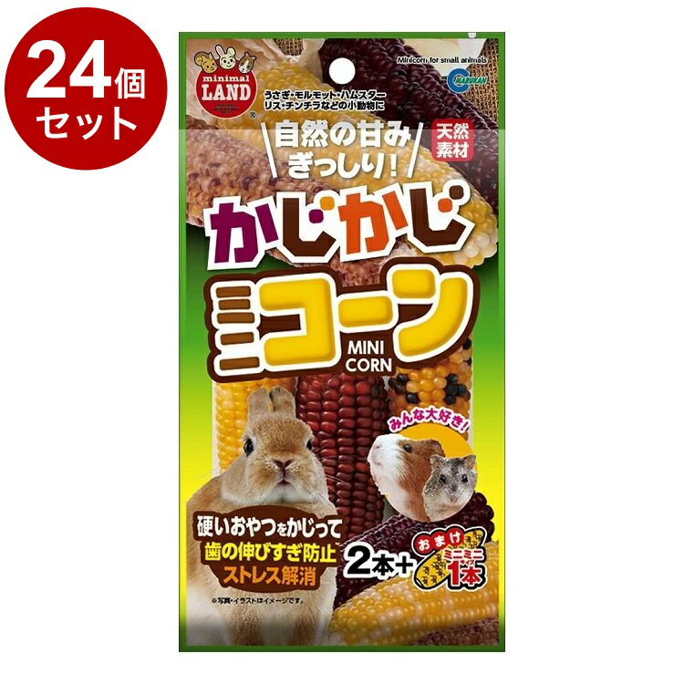 【商品説明】適度なかたさで歯の健康をサポート！！小動物が大好きな適度なかたさのコーンは、かじり木の代わりになり、かじることで歯の伸びすぎを予防します。〇原材料(成分)とうもろこし〇賞味／使用期限(未開封)24ヶ月※仕入れ元の規定により3か月...