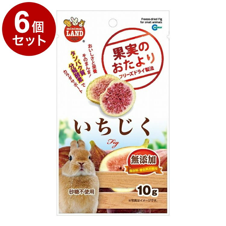 【商品説明】いちじくに含まれるタンパク質分解酵素が、健康な胃腸の働きを助けます。素材のおいしさと栄養を損なわないフリーズドライ製法で仕上げました。〇原材料(成分)いちじく〇賞味／使用期限(未開封)24ヶ月※仕入れ元の規定により3か月以上期限...