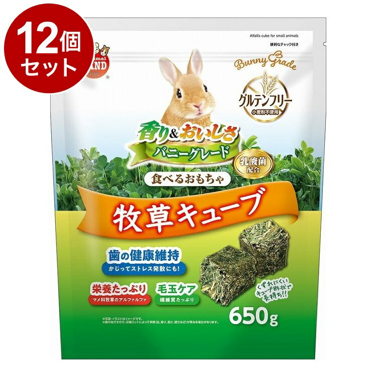 【商品説明】・タンパク質・ミネラルが豊富な、小動物用グルテンフリーの補助食です。・かじることで、歯の伸びすぎ防止やストレス解消に役立ちます。・くずれにくいキューブ形状なので、おでかけ時にも適しています。・乳酸菌が腸内フローラを整え、お腹の健...