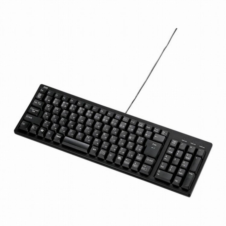 キーピッチはスタンダードキーボードと同じ19mmキーピッチです。商品説明机の上を有効活用できるコンパクトフルキーボード商品仕様製品タイプ：キーボードカラー：ブラックインターフェース：USB(Aタイプコネクタ)、PS/2コンボタイプ(ミニDI...