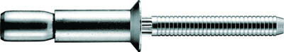 【メーカー型番】SK8120UG【JANコード】4536178200752【ブランド】POP【特徴】●振動に強い内部ロック機能を採用した高強度リベットです。●適用板厚が広く、製品の部品点数削減に貢献します。●溶接レスでの構造体組み立てに最適...