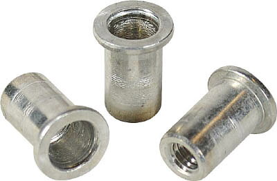 【メーカー型番】NAD-6M【JANコード】4963202013260【ブランド】エビ　【特徴】●エビナットはナットとリベットの両方の長所を兼ねそなえた、ブラインドファスナーです。●タップ立ての難しい薄材やパイプ・溶接のできないプラスチック...