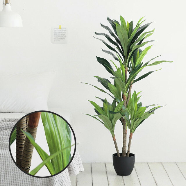 〇サイズ70×70×130cm〇素材PEVA、ポリエチレン、鉄〇生産国中国【代引きについて】こちらの商品は、代引きでの出荷は受け付けておりません。【送料について】沖縄、離島は送料を頂きます。人工観葉植物アロエコンペクタモンテスラJAVAユッ...