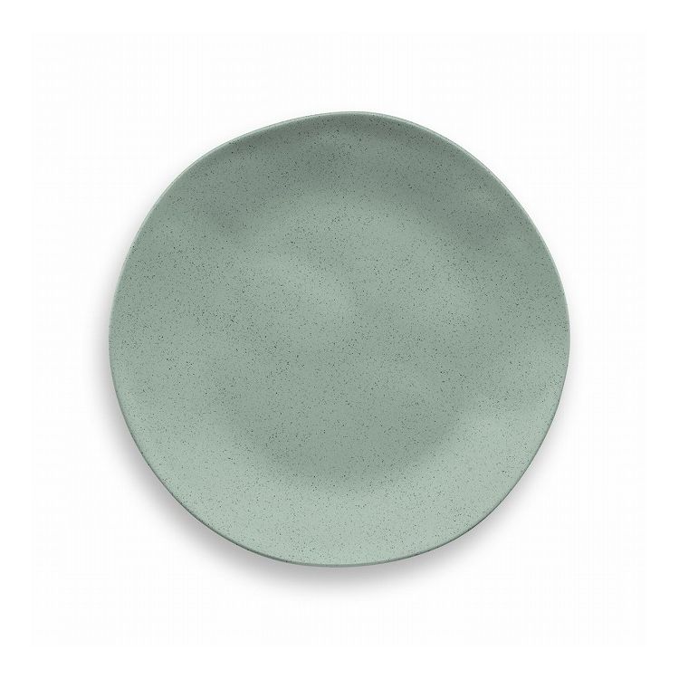 ■商品名麦わらPP オーガニック サラダプレート 22cm セージグリーン 【ポリプロピレン製】■特長マットな質感でナチュラルテイストデザインが特徴で、麦わらを素材にしているPP食器ですポリプロピレン樹脂に自然由来の麦わら原料を配合した環境...