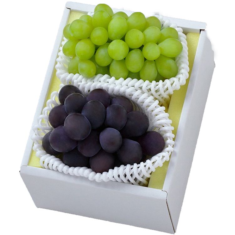 【商品特徴】種無しで甘く、皮ごとそのまま食べられる程、果肉を包む皮が柔らかく薄いのが特徴のシャインマスカット。黒皮で濃厚な甘さが際立つピオーネ（種無し）の詰め合わせです。【商品区分】食品【原材料(アレルギー表記含む)】青果【製造者】株式会社...