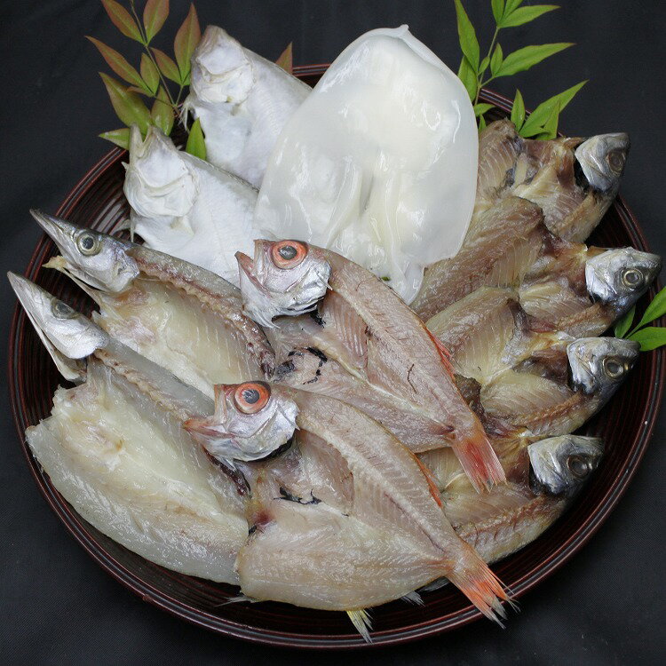 【商品詳細】山陰沖で獲れた鮮度良い魚を塩で旨みを引き出ししっかり乾燥させ旨みを凝縮しました。保存方法:冷凍商品区分:食品内容量:ノド黒開き50g×2尾、アジ開き60g×4尾、エテカレイ70g×2尾、カマス開き80g×2尾、白イカ70g×1枚...