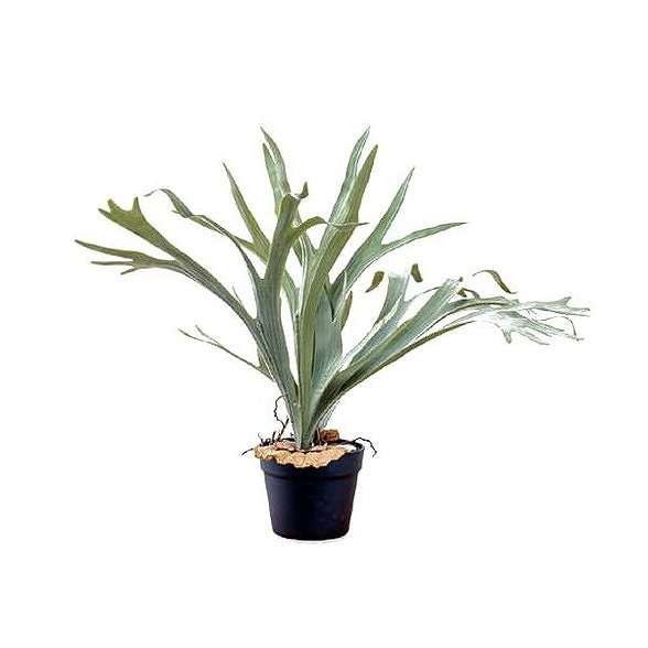 【商品説明】空間をおしゃれに演出してくれ、カフェやレストランなどの店舗用のインテリアとしてもおすすめです。生産国:中国素材・材質:PE商品サイズ:W65×D19×H61cm【代引きについて】こちらの商品は、代引きでの出荷は受け付けておりませ...