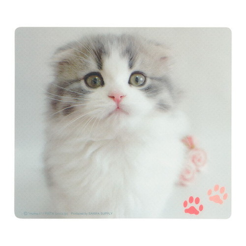 【商品特長】●動物のかわいい写真を印刷した動物マウスパッドです。●表面のドット加工により、ブルーLEDなどの光学式マウスでもレーザー式マウスでもスムーズで正確なマウス操作が可能です。●薄さ0.6mmで机との段差を押さえ、手首に負担を掛けず操...