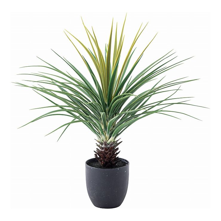 ●サイズ（cm）約幅61×奥行61×高さ67●材質ポリ塩化ビニル 合成樹脂●原産国中国【代引きについて】こちらの商品は、代引きでの出荷は受け付けておりません。【送料について】北海道、沖縄、離島は送料を頂きます。