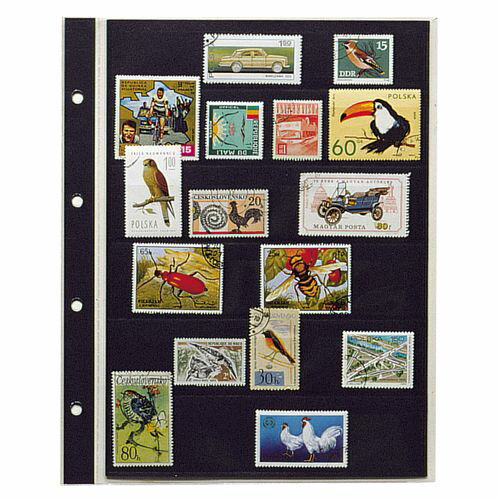 台紙：1列6段黒台紙 10枚入ポケットサイズ（1片）：188×35mmSB-306収容台紙奥行5mm×幅220mm×高さ262mm【送料について】北海道、沖縄、離島は送料を頂きます。