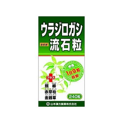 商品概要メーカー：山本漢方製薬商品名：【軽】ウラジロガシ流石粒（240粒）区分：食品内容量：240粒商品概要：漢方のプロが考えた健康維持に役立つ粒製品JANコード：4979654026314商品コード：102403582商品の説明ウラジロガ...
