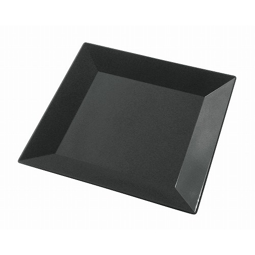 ■商品説明●パーティー・ケータリングに最適です。●10枚入り■直径・サイズ350×350×H23■深さ■重さ210g■容量●10枚入り【代引きについて】こちらの商品は、代引きでの出荷は受け付けておりません。【送料について】北海道、四国、九州...