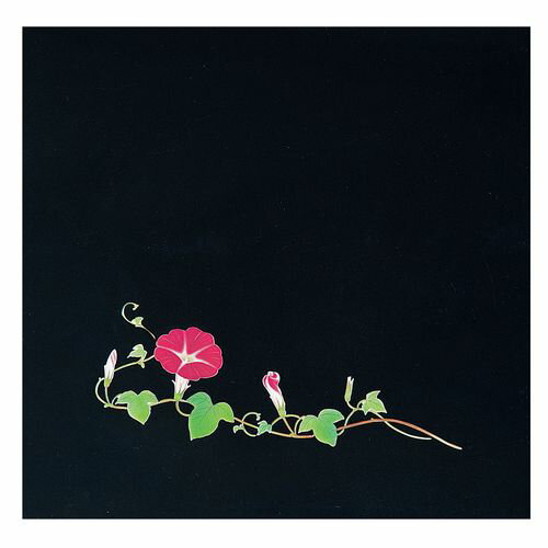 アーテック OPクリア四季 朝顔（200枚入） OS-12-8 QKL081 JANコード 4560164129338●メーカー品番:OS-12-8●幅×奥行(mm):120×120●材質：OP■両面ラミネート加工してありますから、敷いても...