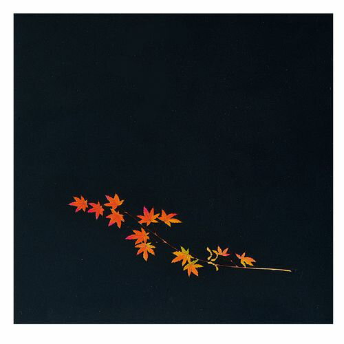 アーテック OPクリア四季 赤もみじ（200枚入） OS-12-9 QKL091 JANコード 4560164129345●メーカー品番:OS-12-9●幅×奥行(mm):120×120●材質：OP■両面ラミネート加工してありますから、敷い...