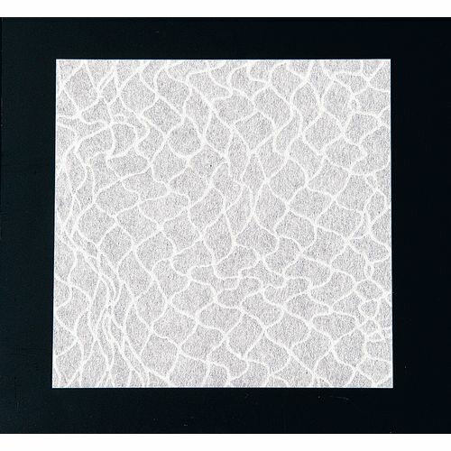 アーテック クリヤ懐敷網柄 （100枚入） TA-300 QKI75300 JANコード 4560164134325●メーカー品番:TA-300●幅×奥行(mm):300×300●入数:100枚入●材質：無蛍光雲流■お刺身・鍋物の材料・舟盛...
