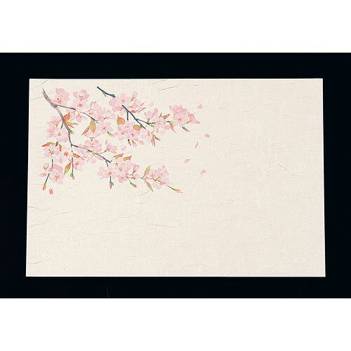 ヤマコー 尺3四季懐石まっと（50枚入） 桜 QKI09 JANコード 4988484643776●縦×横(mm):390×264●材質：和紙■尺3四季懐石まっと(50枚入)390×264■無蛍光雲竜和紙を使用しております。【送料について】...