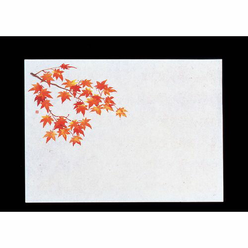ヤマコー 遠赤保鮮紙 小 （100枚入） 紅葉 QHS06 JANコード 4988484645633●幅×奥行(mm):180×130●材質：和紙■天然セラミックを塗布した掛け紙■無蛍光和紙を使用しております。■霧吹等でよく湿らせて御使用く...