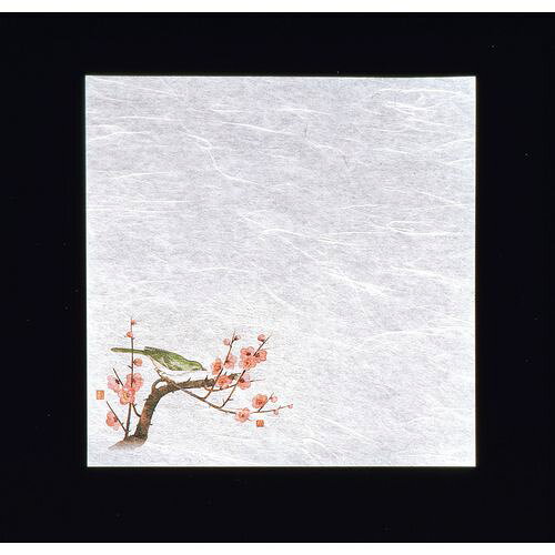 ヤマコー 新・濡れ奉書紙（100枚入） 梅 QHU10 JANコード 4988484653904●幅×奥行(mm):200×200●材質：和紙■薄口の特漉き雲竜和紙(無蛍光)を使用しています。■余分な油を吸収しますので、天紙としても最適です...