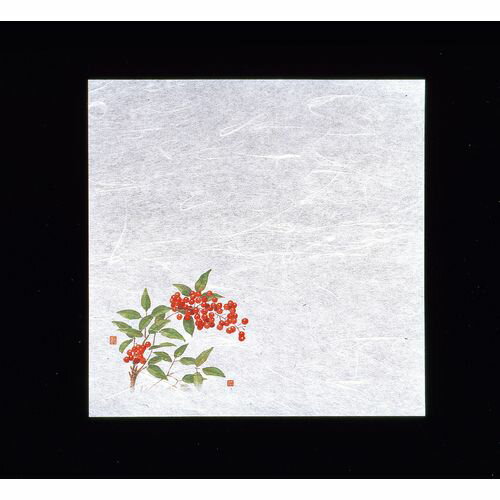 ヤマコー 新・濡れ奉書紙（100枚入） 南天 QHU25 JANコード 4988484654109●幅×奥行(mm):200×200●材質：和紙■薄口の特漉き雲竜和紙(無蛍光)を使用しています。■余分な油を吸収しますので、天紙としても最適で...