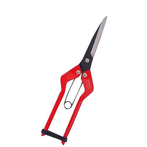 【商品詳細】果実の剪定、採果に最適なロング摘果鋏●重量：130g●刃渡り：65【送料について】北海道、沖縄、離島は送料を頂きます。