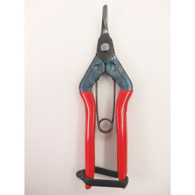 【商品説明】●より深い窪みのある果実の収穫に！●切れ味抜群：近正独自の理想的な刃付角度で強くて鋭い切れ味に仕上げました。●深く窪んだ軸を一発切り：より深く窪んだ軸のある柿や梨、トマトなどの果物や野菜を一発カットで収穫できるように開発した極曲...