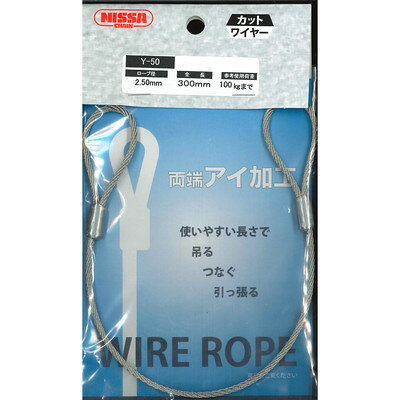 【商品説明】●両端アイ加工済。●両端アイ加工済みですぐに使えます。●キャップやカバーなどの紛失防止。看板などの吊り下げ。●ロープ径：2.5mm ●全長：300mm ●重量：20g ●参考使用荷重：100kg※メーカーの都合によりパッケージ、...
