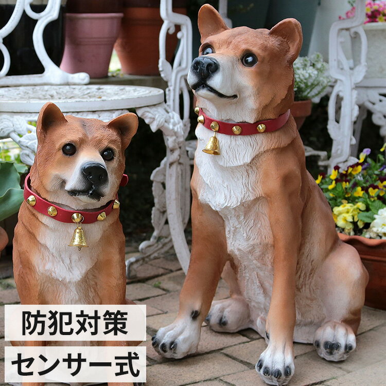 【特長】・明るさセンサーで感知してくれる、わんわんリキです。・明るさ・暗さを感知するセンサーで反応してくれます。・工事は不要で、単三乾電池2本で使用可能です。【商品名】ビッグリキ【サイズ】幅30×奥行き48×高さ58cm【重量】約5.5kg...