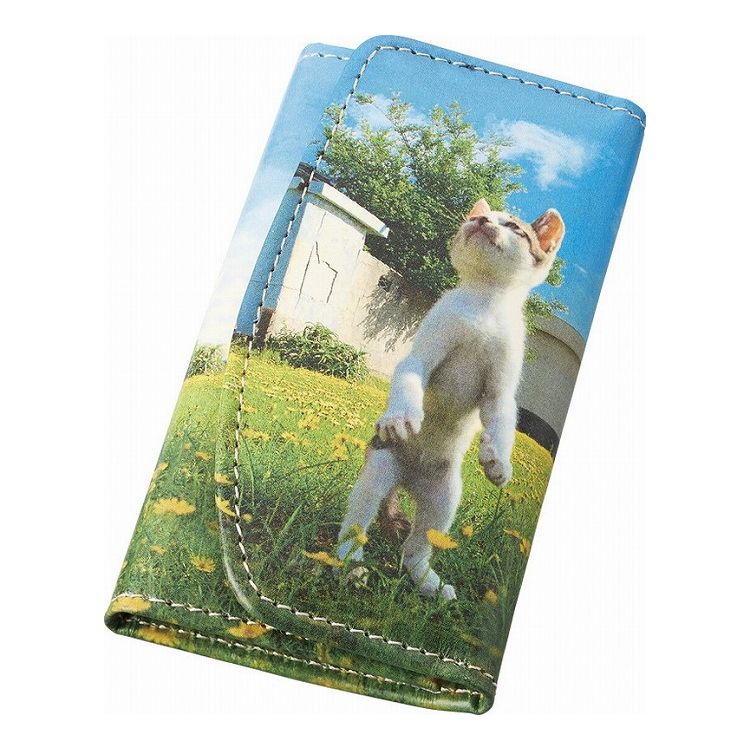 立ち猫 希望の立ち猫 キーケース TW1901【商品説明】写真家山本正義氏の明日を見つめる「希望の立ち猫」の写真を革にプリントしています。 子猫が「明日への希望を見つめて立ち上がった」モチーフです。 明るくエネルギーある、瀬戸内海の空と海、...