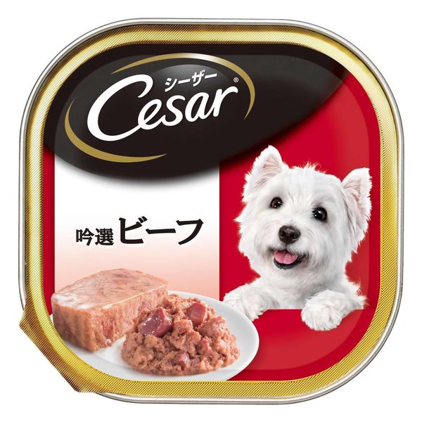 【取り寄せ品のご注意事項（ご注文前にご確認ください）】・本商品は原則注文後のキャンセルはお受けできません。・本商品と他商品で同梱注文をいただき、仮に他商品が完売等でご用意できない場合でも本商品は発送させていただきます。・本商品を複数（2点以...