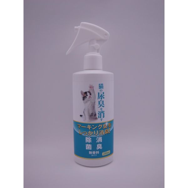 【取り寄せ品のご注意事項（ご注文前にご確認ください）】・本商品は原則注文後のキャンセルはお受けできません。・本商品と他商品で同梱注文をいただき、仮に他商品が完売等でご用意できない場合でも本商品は発送させていただきます。・本商品を複数（2点以...