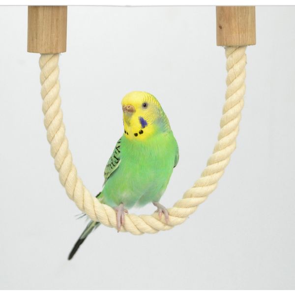 【取り寄せ品のご注意事項（ご注文前にご確認ください）】・本商品は原則注文後のキャンセルはお受けできません。・本商品と他商品で同梱注文をいただき、仮に他商品が完売等でご用意できない場合でも本商品は発送させていただきます。・本商品を複数（2点以...