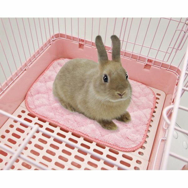 【取り寄せ品のご注意事項（ご注文前にご確認ください）】・本商品は原則注文後のキャンセルはお受けできません。・本商品と他商品で同梱注文をいただき、仮に他商品が完売等でご用意できない場合でも本商品は発送させていただきます。・本商品を複数（2点以...