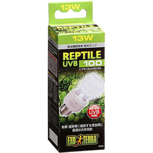 【取り寄せ品のご注意事項（ご注文前にご確認ください）】・本商品は原則注文後のキャンセルはお受けできません。・本商品と他商品で同梱注文をいただき、仮に他商品が完売等でご用意できない場合でも本商品は発送させていただきます。・本商品を複数（2点以...