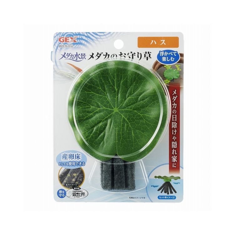 【取り寄せ品のご注意事項（ご注文前にご確認ください）】・本商品は原則注文後のキャンセルはお受けできません。・本商品と他商品で同梱注文をいただき、仮に他商品が完売等でご用意できない場合でも本商品は発送させていただきます。・本商品を複数（2点以...